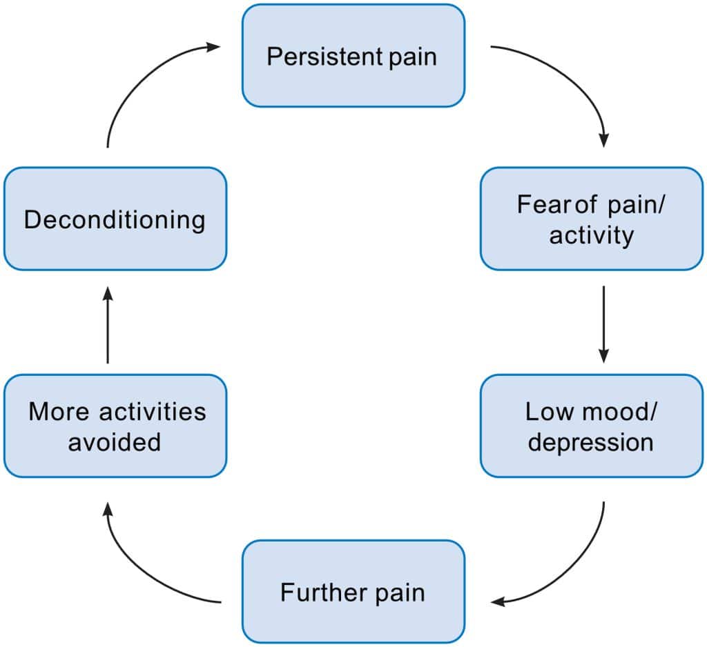 Back and neck pain - msk